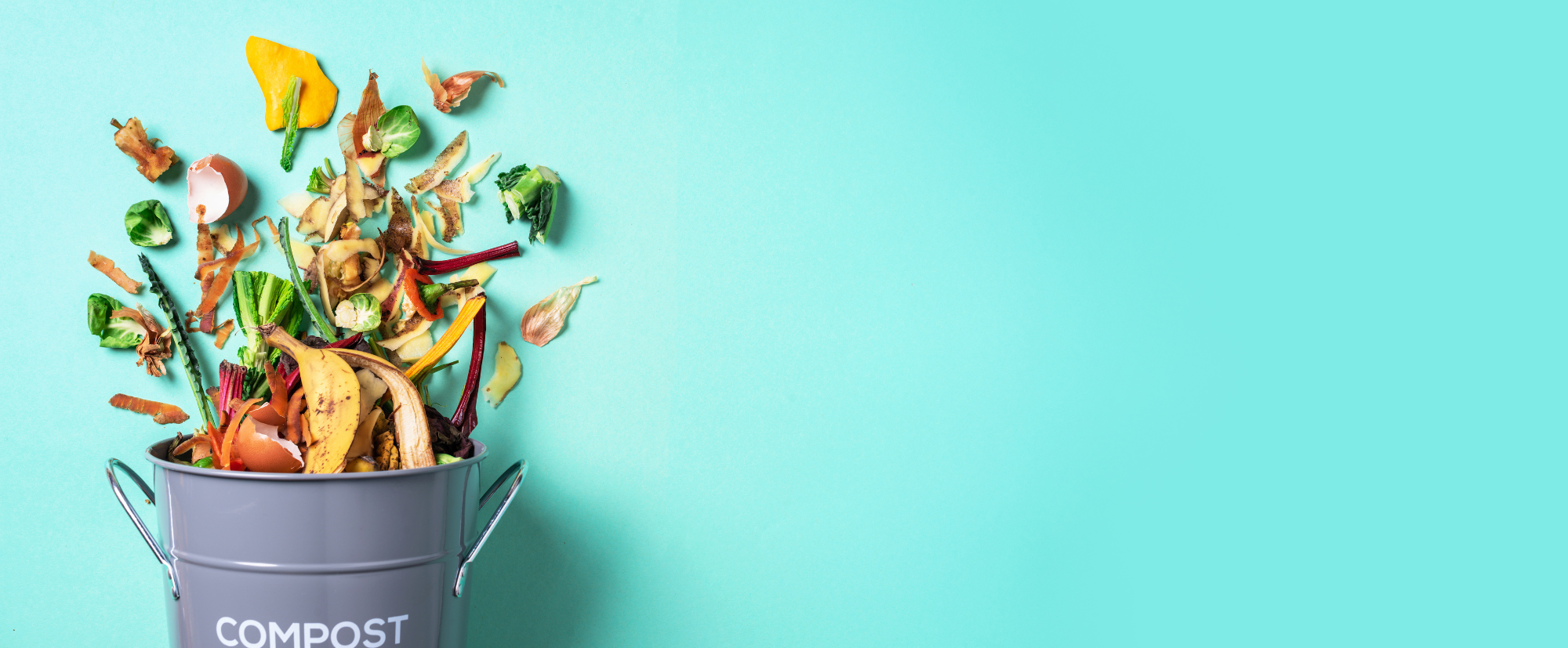 How Does Composting Work? The Science Behind it