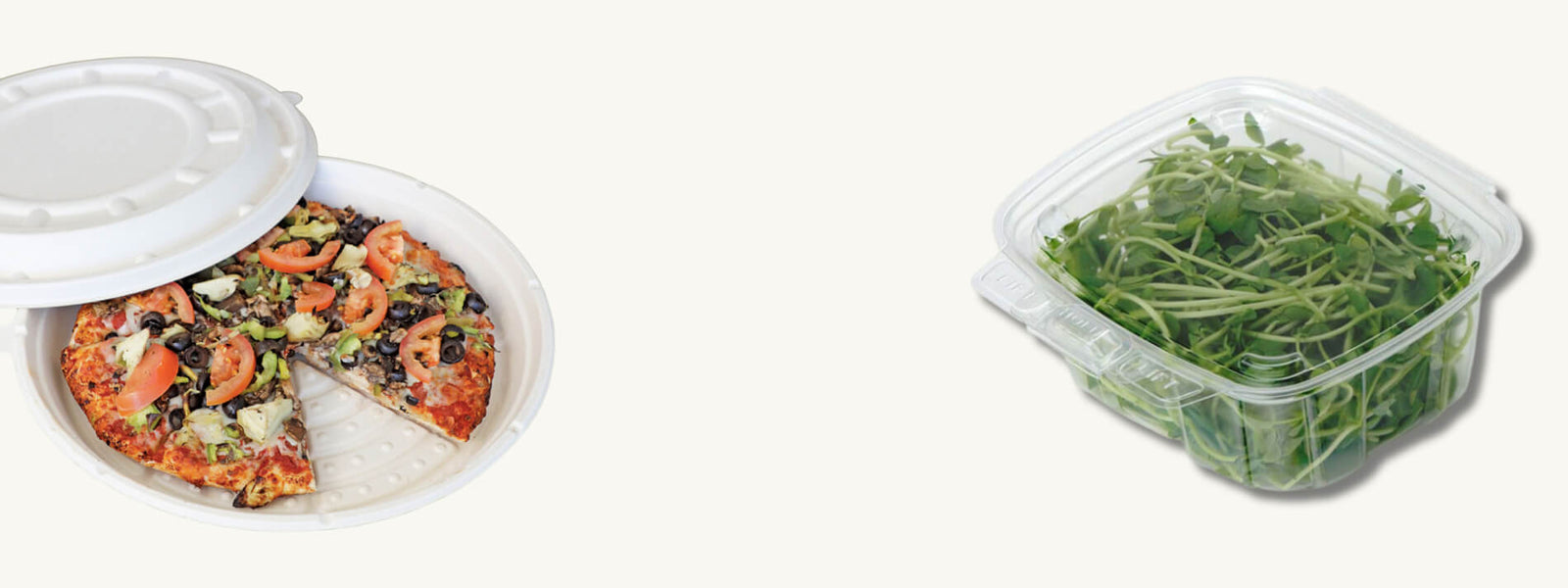 Eco-Friendly Food Packaging Solutions for Eco-Consciousness